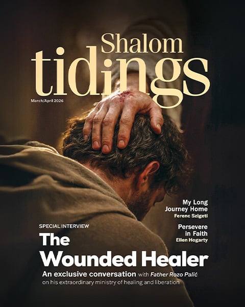 About Us | Shalom World