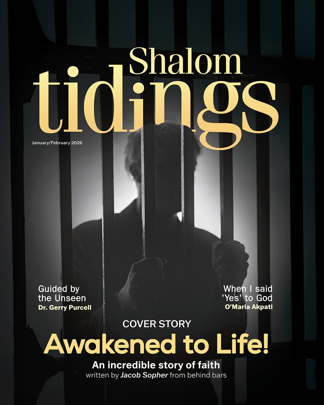 About Us | Shalom World