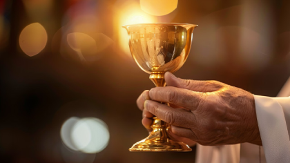 About Us | Shalom World