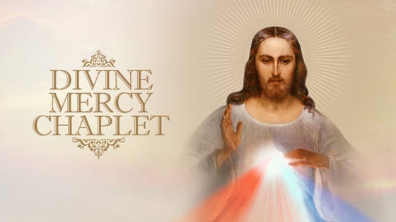 Shalom World | Your Global Catholic Media Hub