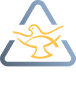 Shalom World | Your Global Catholic Media Hub